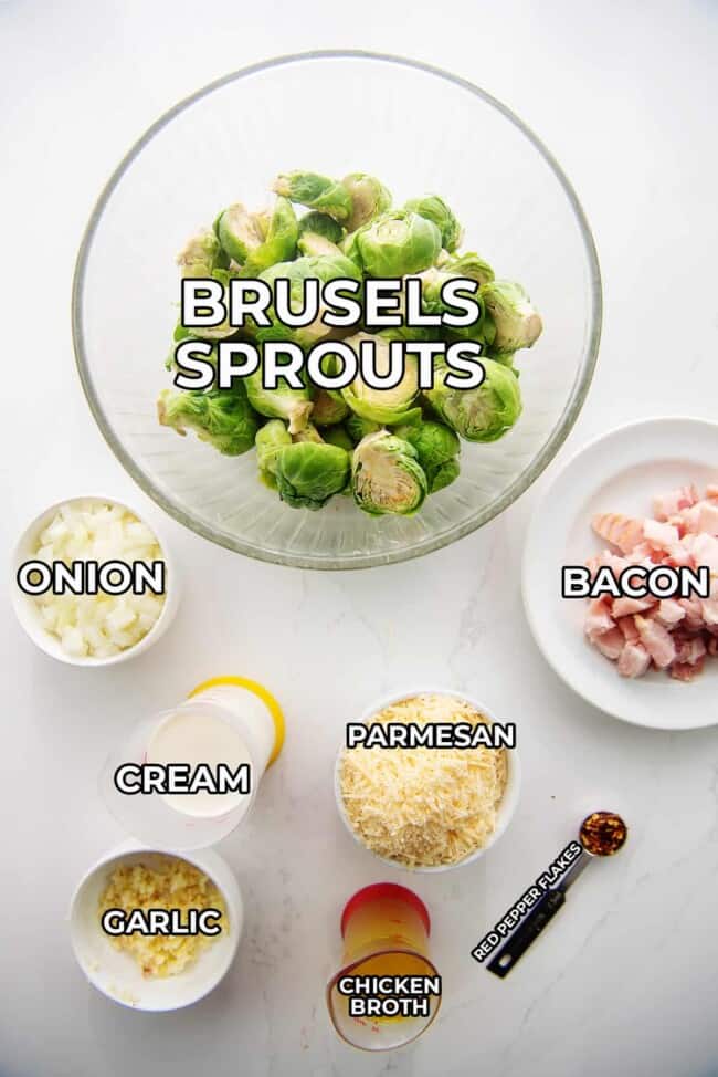 Creamy Brussels Sprouts | That Low Carb Life